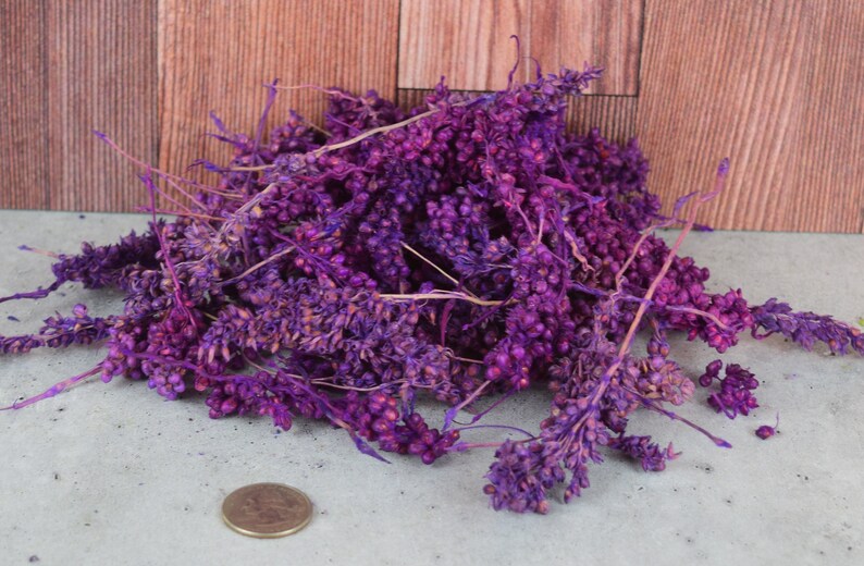 Milo Berries (multiple Colors) Unscented Botanicals for Potpourri or ...