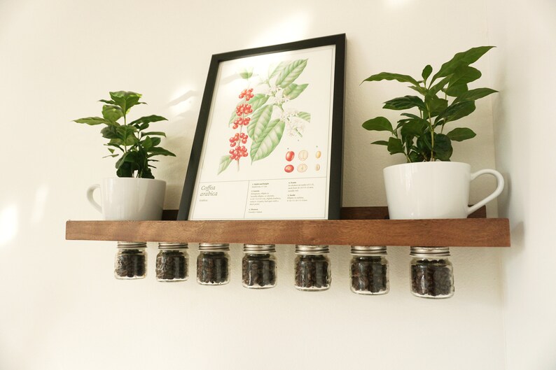 Floating Coffee Bean Vaults Wood Floating Shelf Coffee Bean Cellars ...