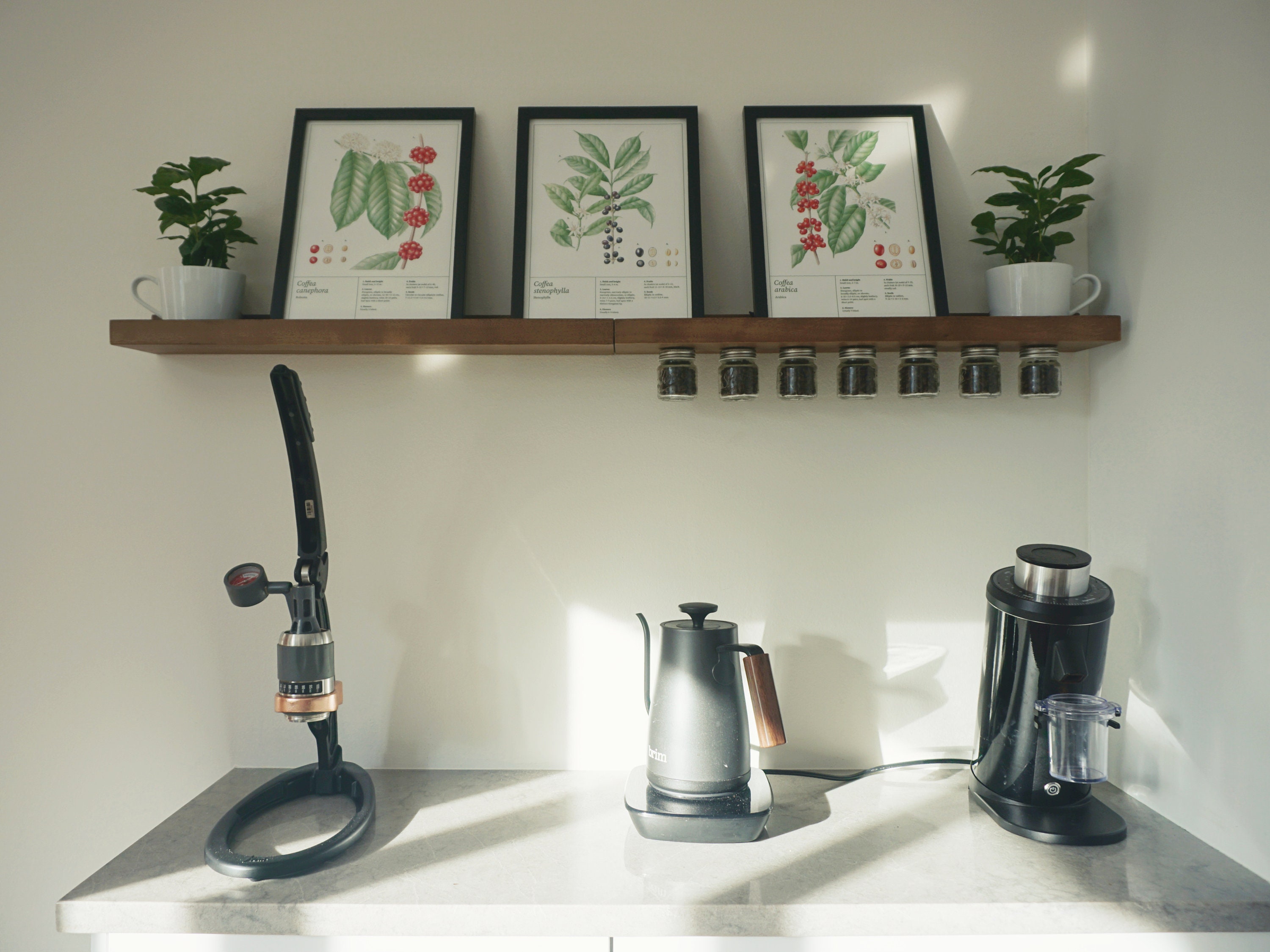 Floating Coffee Bean Vaults Wood Floating Shelf Coffee Bean Cellars ...