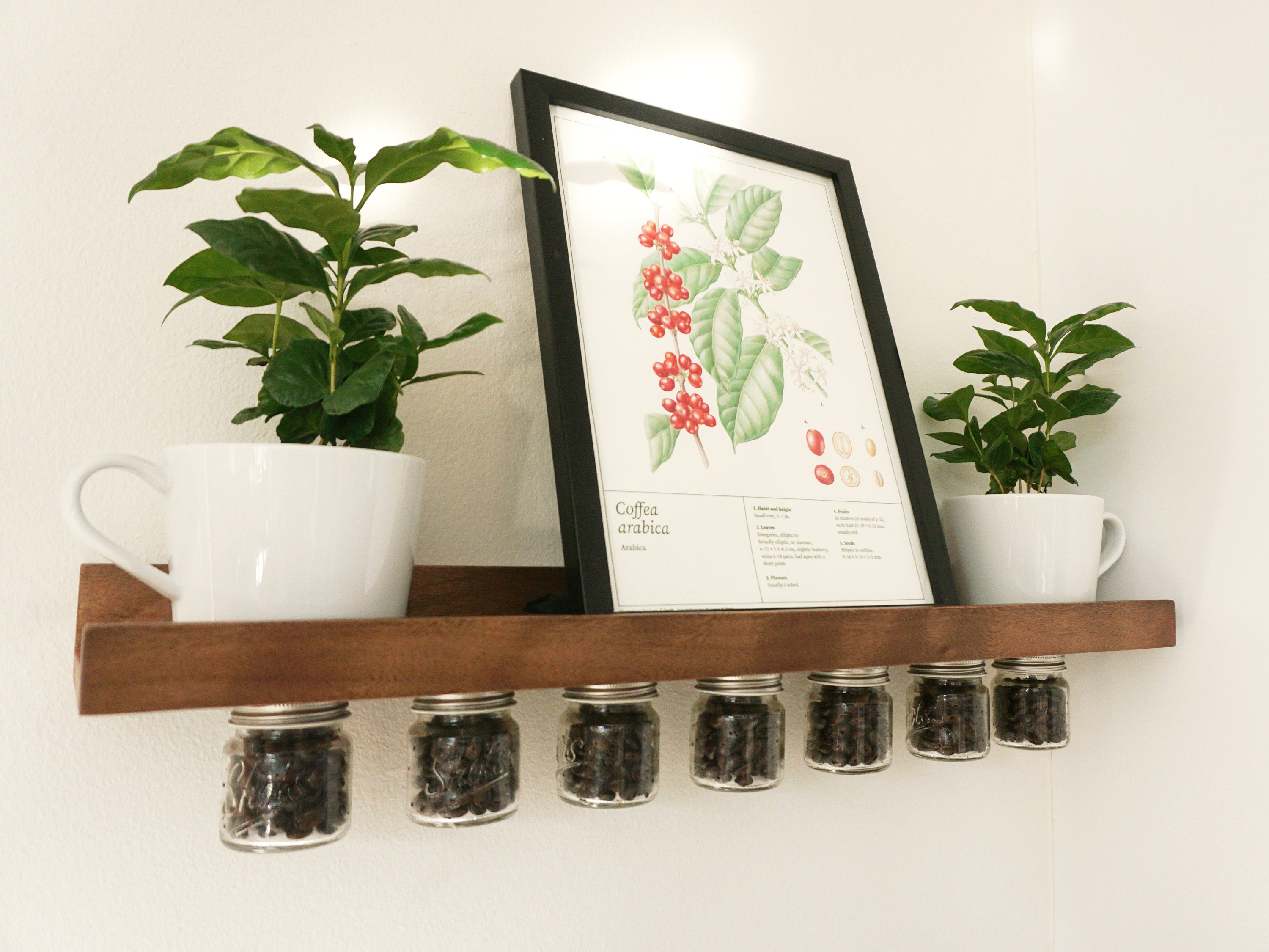 Floating Coffee Bean Vaults Wood Floating Shelf Coffee Bean Cellars ...