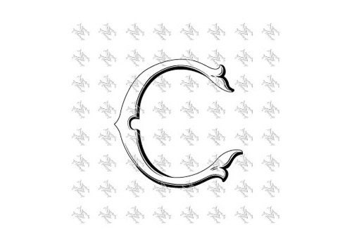 Letter C Vintage Monogram, Single Letter, Vector Graphic | Weddings ...