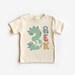 3 Rex Shirt Three Rex Birthday Tshirt 3rd Birthday Dinosaur Party ...