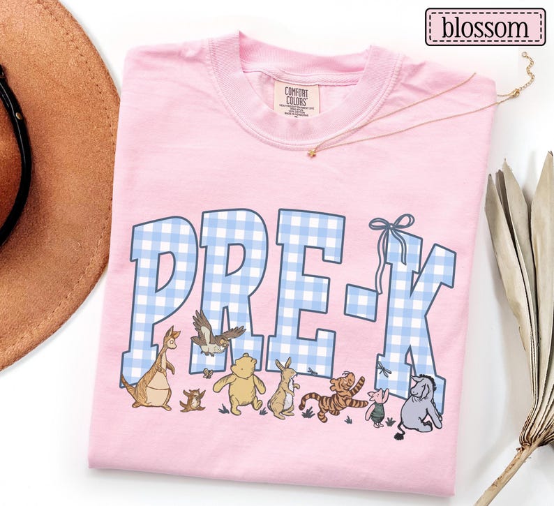 Pre-k Comfort Colors Shirt • Preschool Teacher Tshirt • Cute Pre K ...