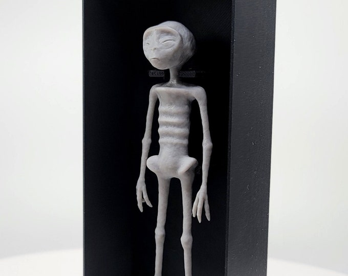 Alien Corpse Mummy UFO UAP Mummies Space Ship Body Gift Decor ...