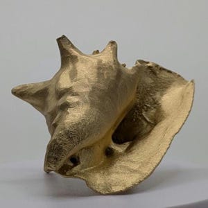 Gold Conch Seashell 3D Printed Miniature Unique Gift Decor Decoration ...