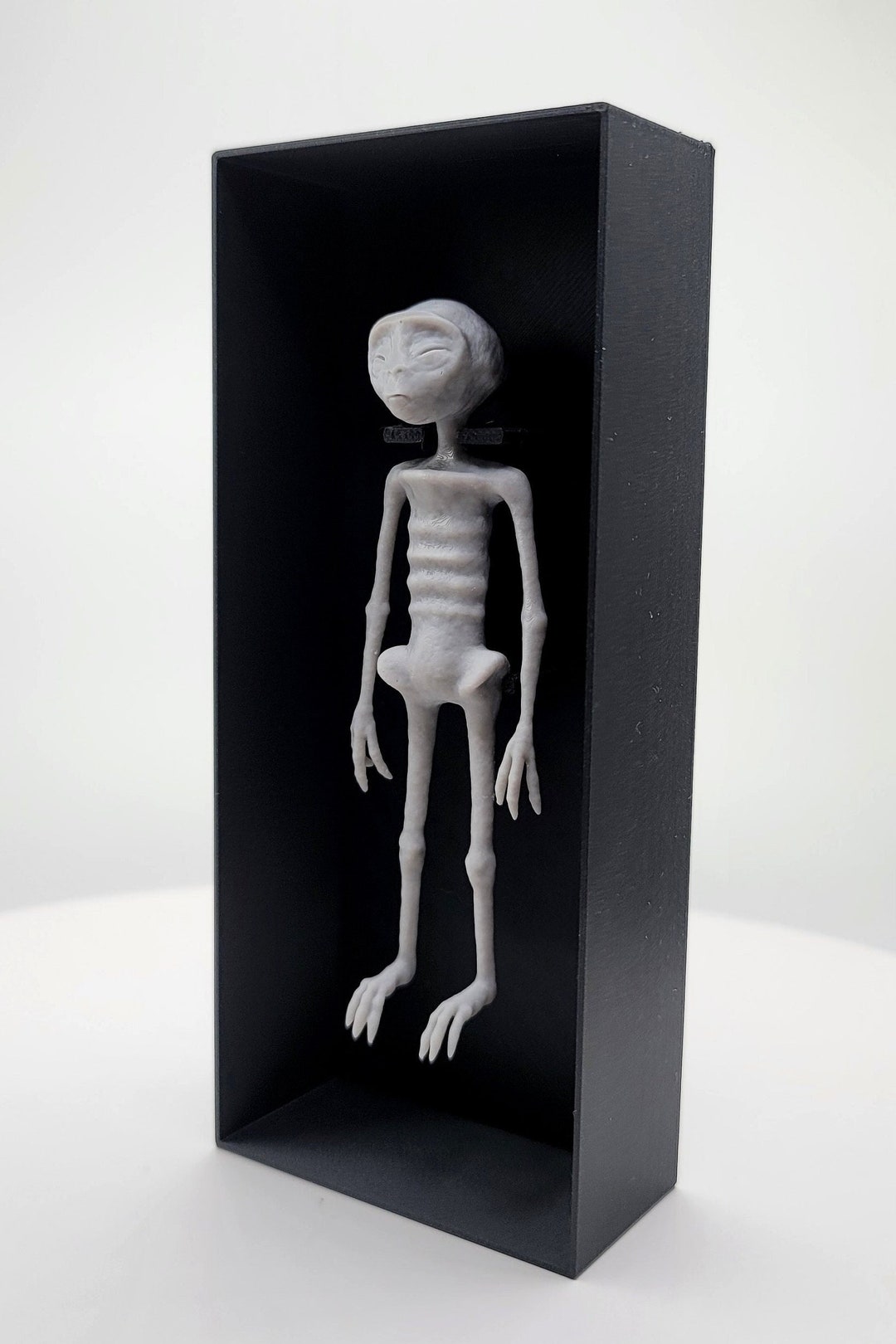 Alien Corpse Mummy UFO UAP Mummies Space Ship Body Gift Decor ...