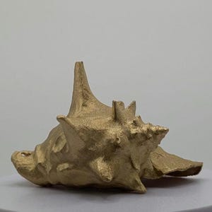 Gold Conch Seashell 3D Printed Miniature Unique Gift Decor Decoration ...