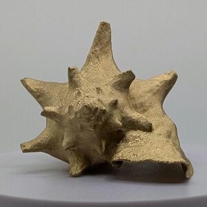 Gold Conch Seashell 3D Printed Miniature Unique Gift Decor Decoration ...