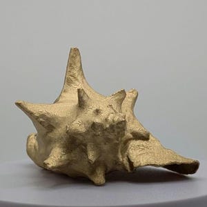 Gold Conch Seashell 3D Printed Miniature Unique Gift Decor Decoration ...