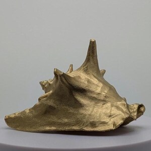 Gold Conch Seashell 3D Printed Miniature Unique Gift Decor Decoration ...