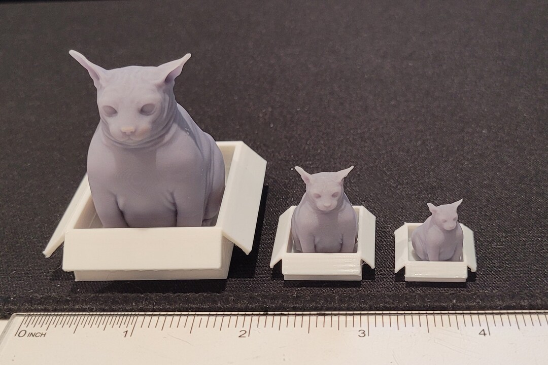 Fat Sphynx Cat Sitting in a Box Miniature Figurine Chonk Cute - Etsy