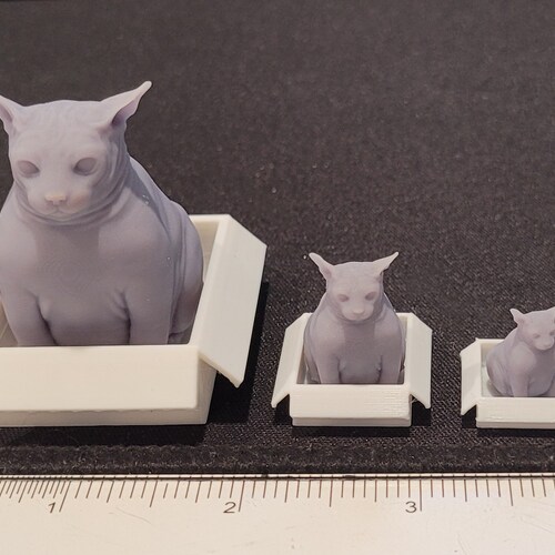 Fat Sphynx Cat Sitting in a Box Miniature Figurine Chonk Cute - Etsy