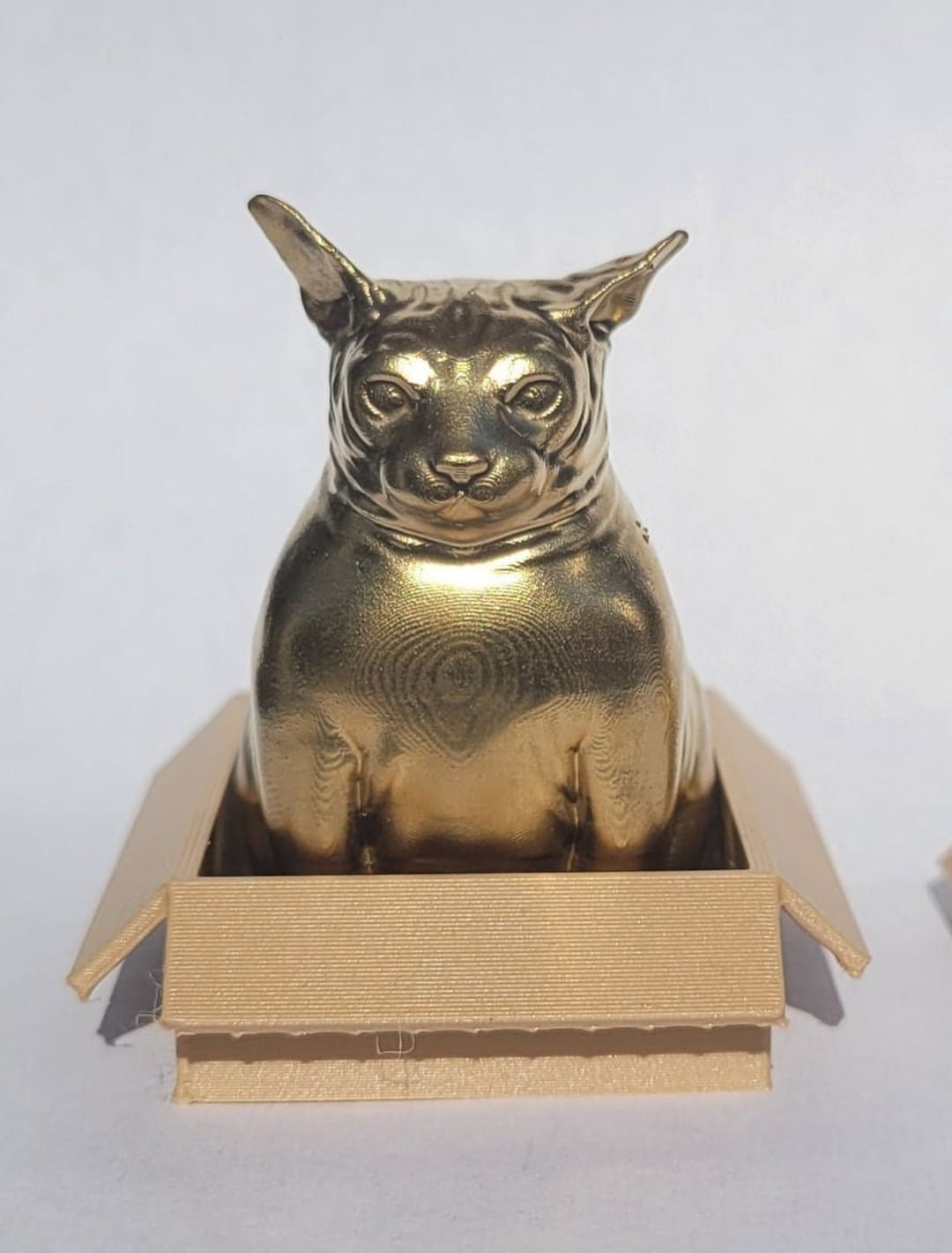 Golden Good Luck Fat Sphynx Cat Sitting in a Box Miniature Figurine ...