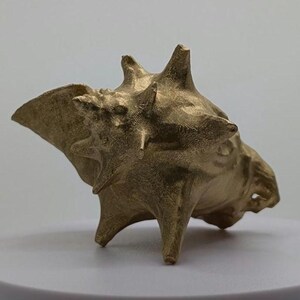 Gold Conch Seashell 3D Printed Miniature Unique Gift Decor Decoration ...