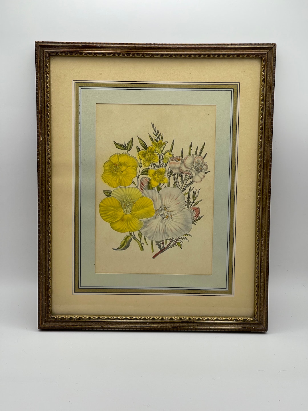 Vintage Framed Botanical Print - Floral Wall Decor - Etsy
