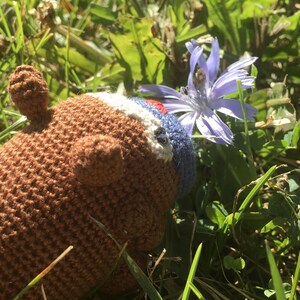 Bidoof Crochet Pattern PDF Download - Etsy