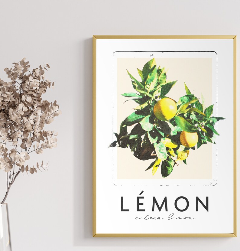 Retro Lemon Botanical Poster Printable Wall Art Large | Etsy