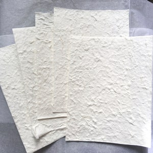 10 Sheet, Dongba Petal Paper, Texture Paper Assorted Set, A5, Scrapbook ...