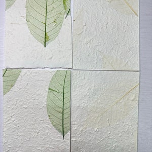 10 Sheet, Dongba Petal Paper, Texture Paper Assorted Set, A5, Scrapbook ...