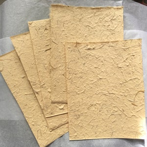 10 Sheet, Dongba Petal Paper, Texture Paper Assorted Set, A5, Scrapbook ...