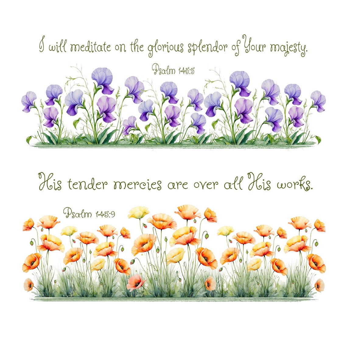 Floral Bible Verse Borders Clipart: Scripture Quotes (digital Download ...