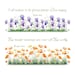 Floral Bible Verse Borders Clipart: Scripture Quotes (digital Download ...