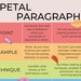 Paragraph Poster, English Poster, PETAL Poster, Classroom Poster ...