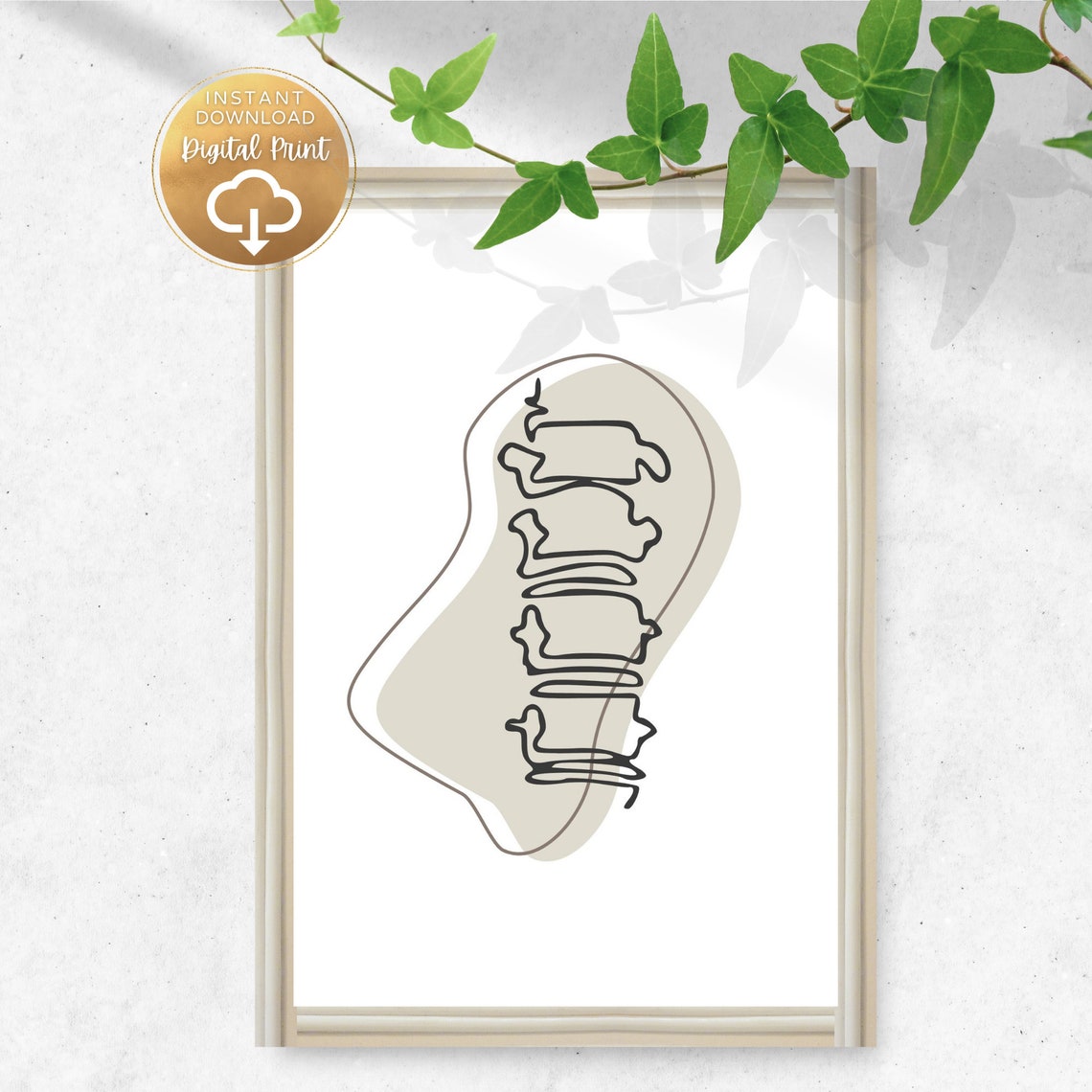 Chiropractic Wall Art Set is Perfect for Chiropractic Office Decor and ...