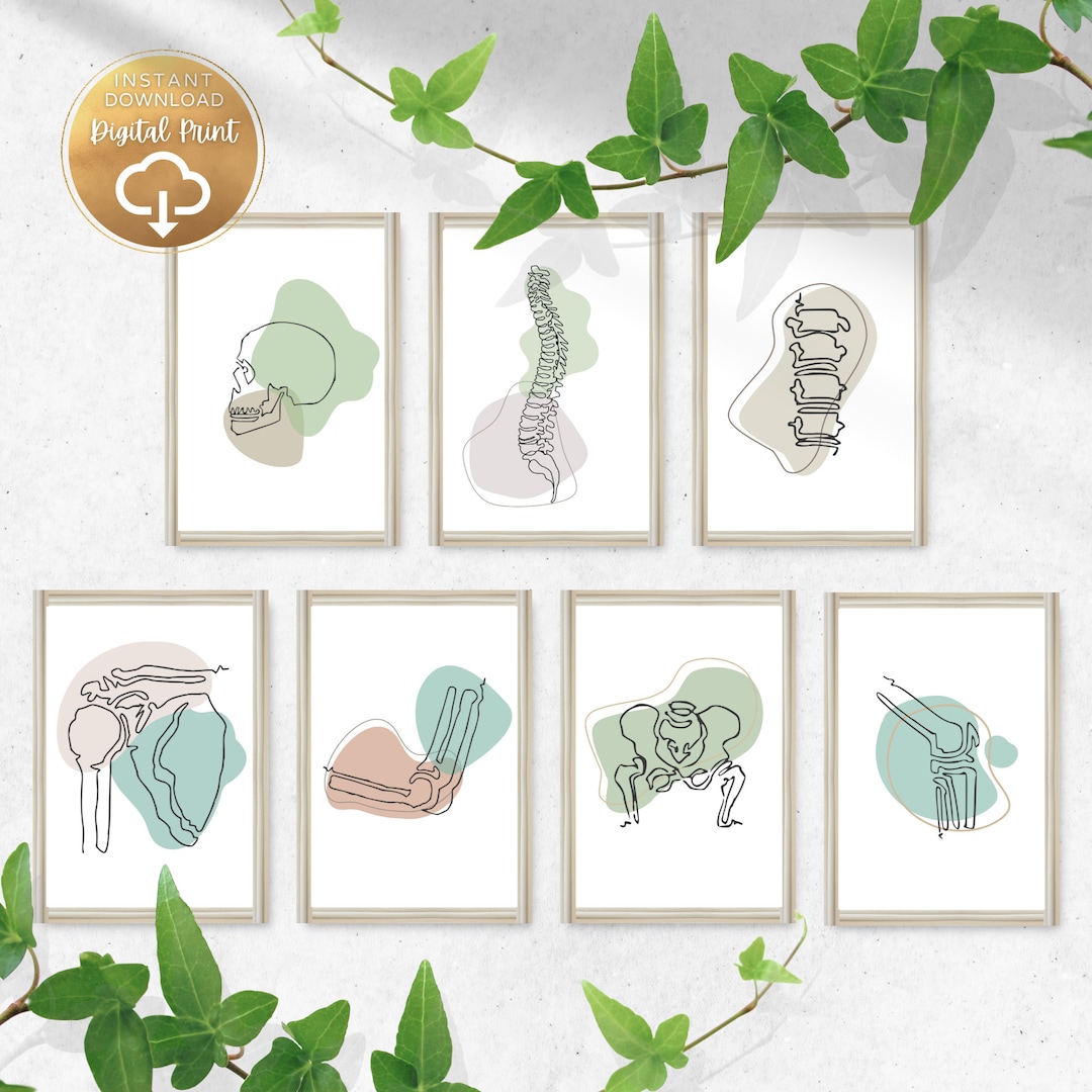 Chiropractic Wall Art Set is Perfect for Chiropractic Office Decor and ...