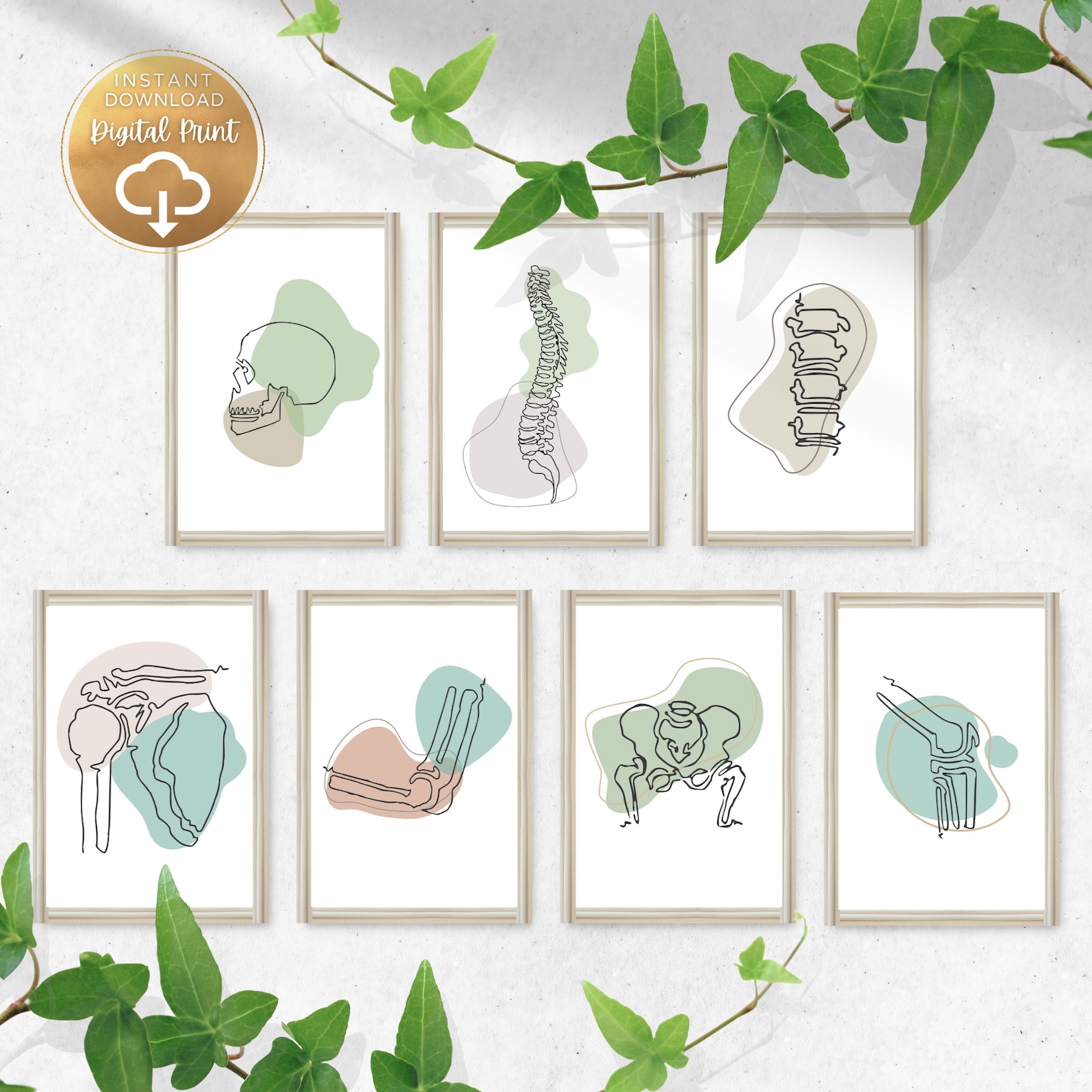 Chiropractic Wall Art Set is Perfect for Chiropractic Office Decor and ...