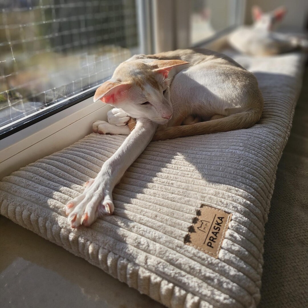 WINDOW Windowsill Mat, Bed for Cats. Cut to Size Choose Width & Length ...