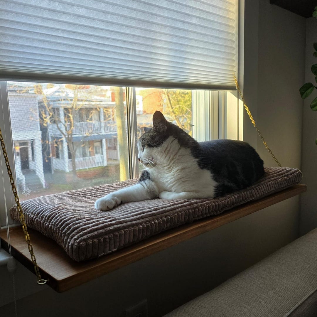 WINDOW - Windowsill Mat, Bed for Cats. Cut to Size! Choose Width ...