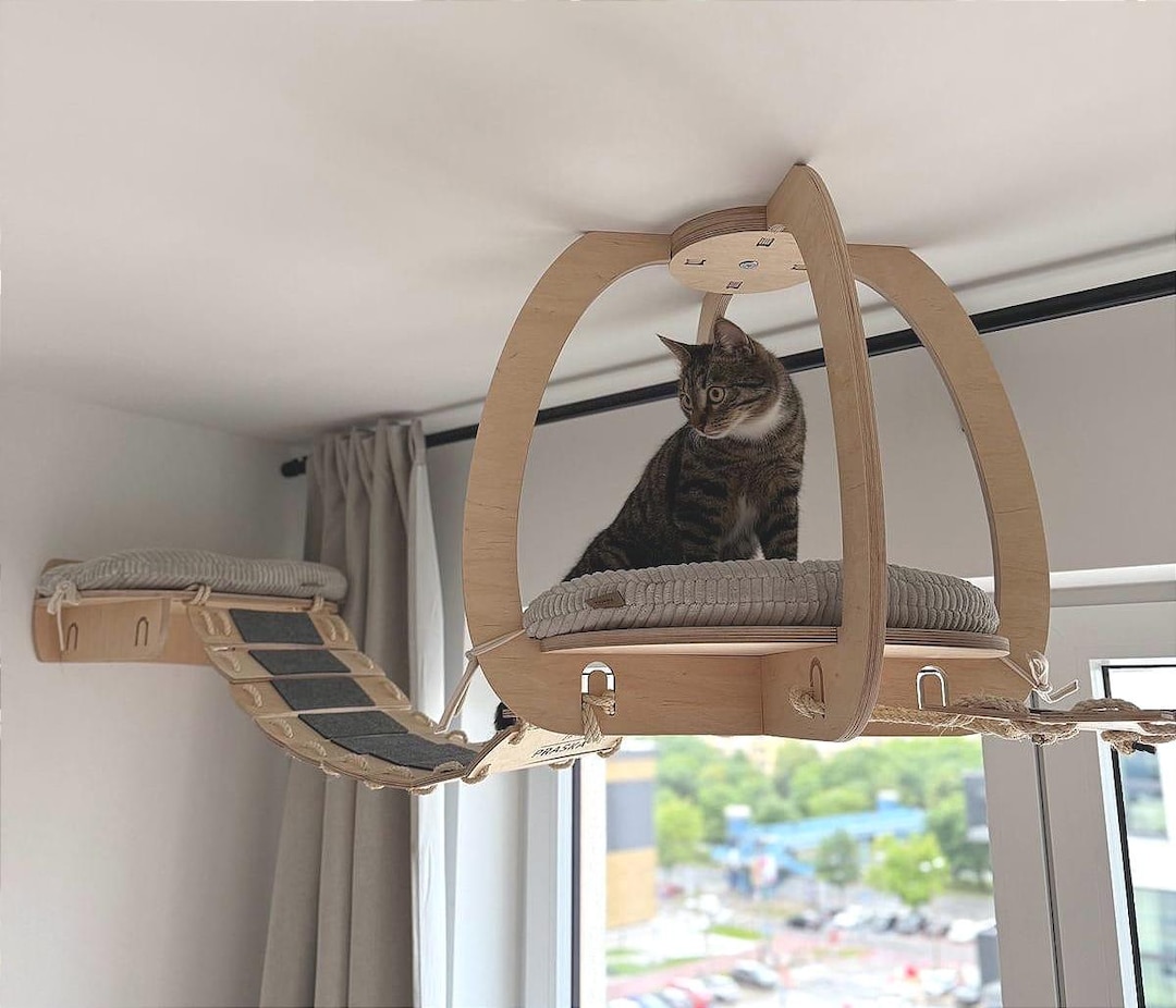 CIRCLE XL - Premium Ceiling Cat Shelf With Comfortable Bed. Connect ...