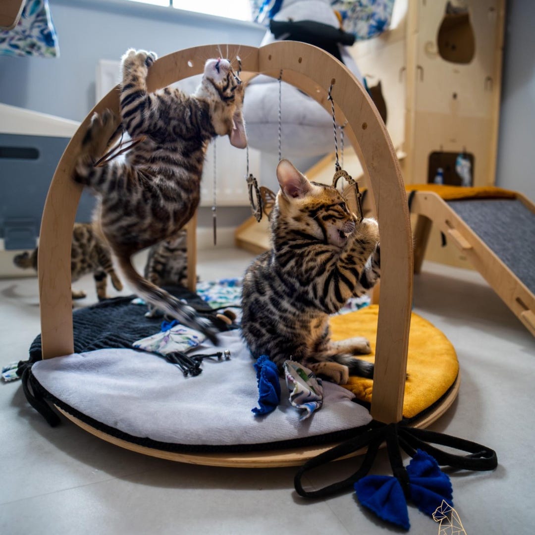 CATLANDIA Sensory Cat Playground. Beds, Toys and Mats. Multifunctional ...