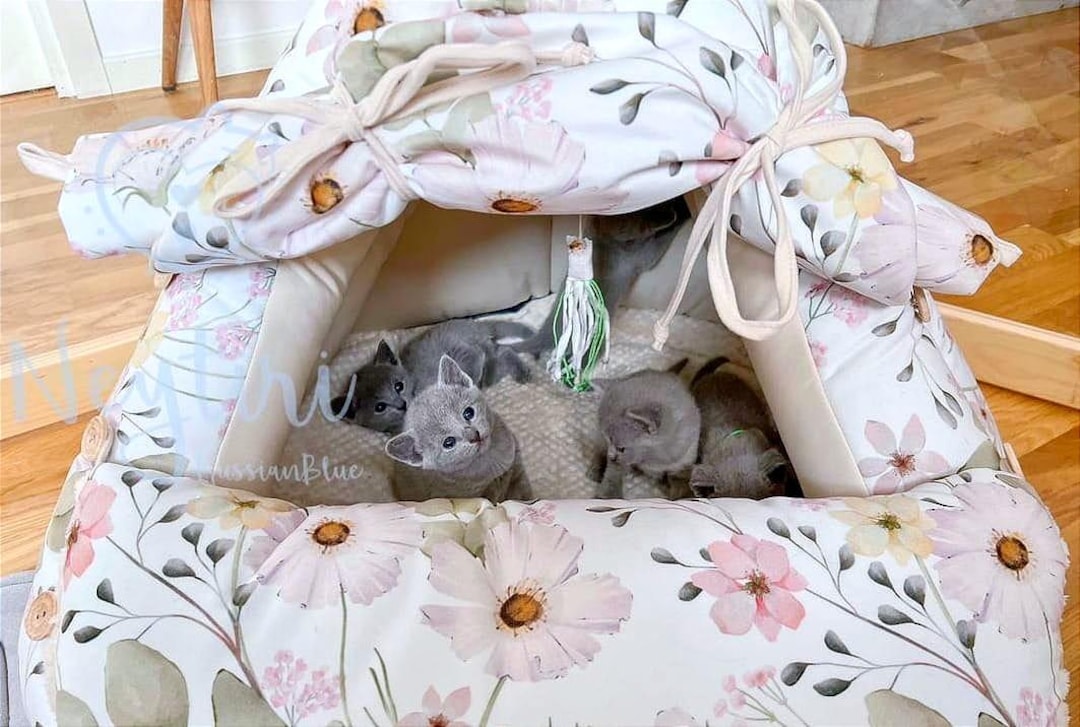 BABY BORN PLUS - Cat Maternity Bed, Cave, Box. Birthing Shelter, House ...