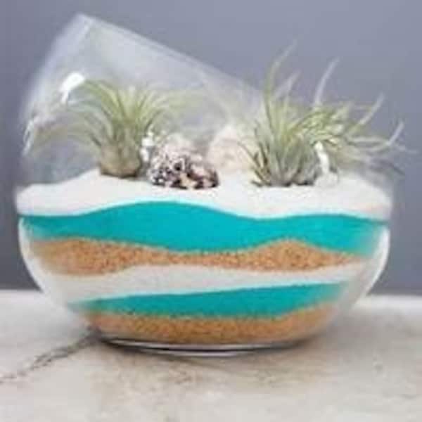 Succulent Terrarium - Etsy
