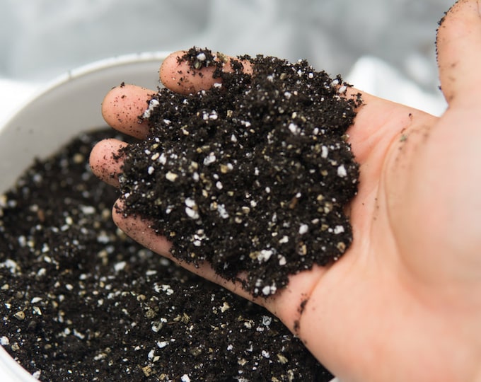 All Purpose Potting Soil, Houseplant Potting Mix, Tropical Plant Soil ...