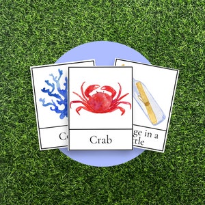 16 Printable Nautical Flashcards for Kids Montessori Learning Education ...