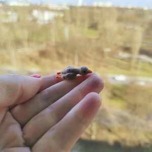 Custom Micro Goose Dollhouse Miniature Tiny Goose. Doll Pet Goose. Mini ...