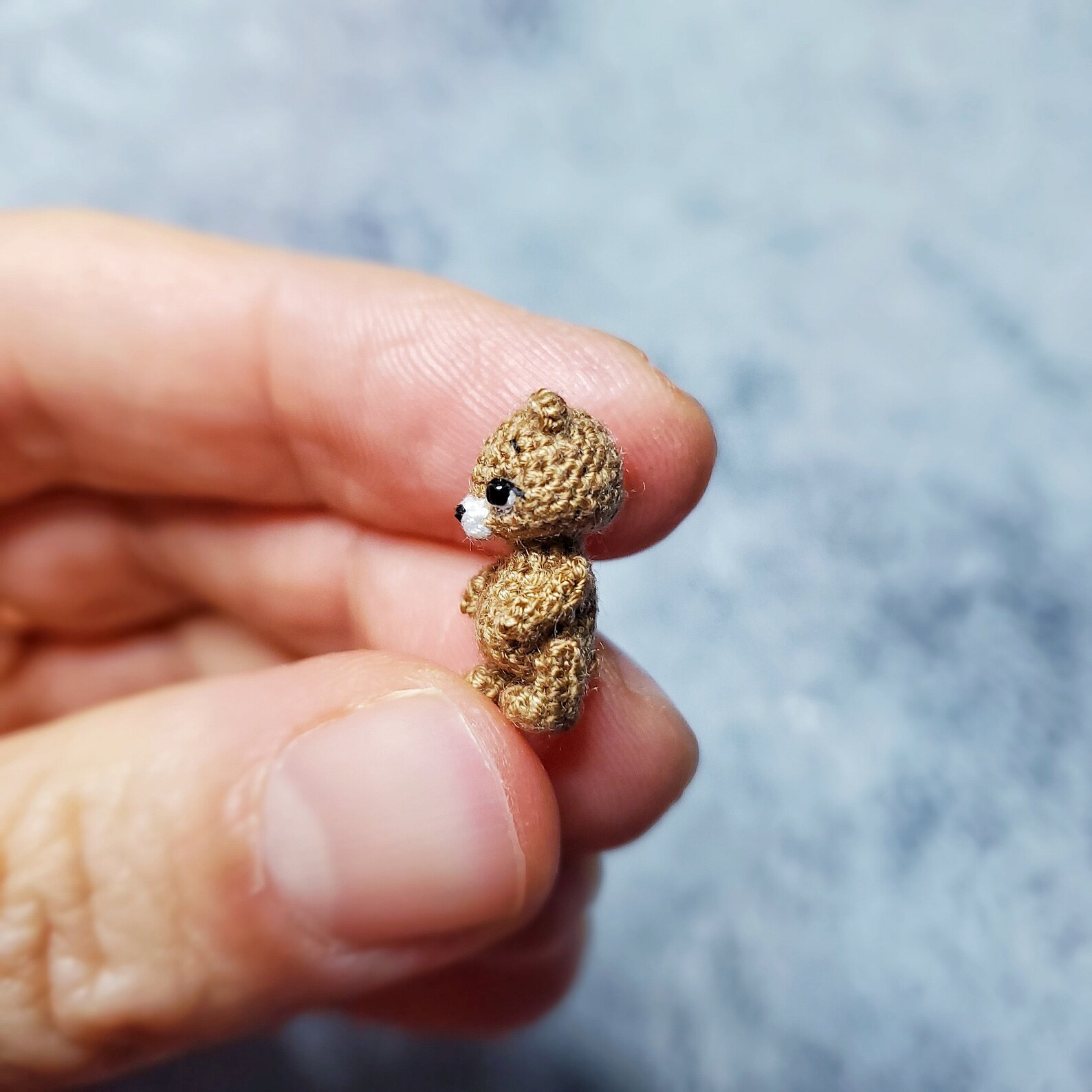 Custom Extremely Micro BEAR in Shell of Natural Forest Nuts hazelnuts ...