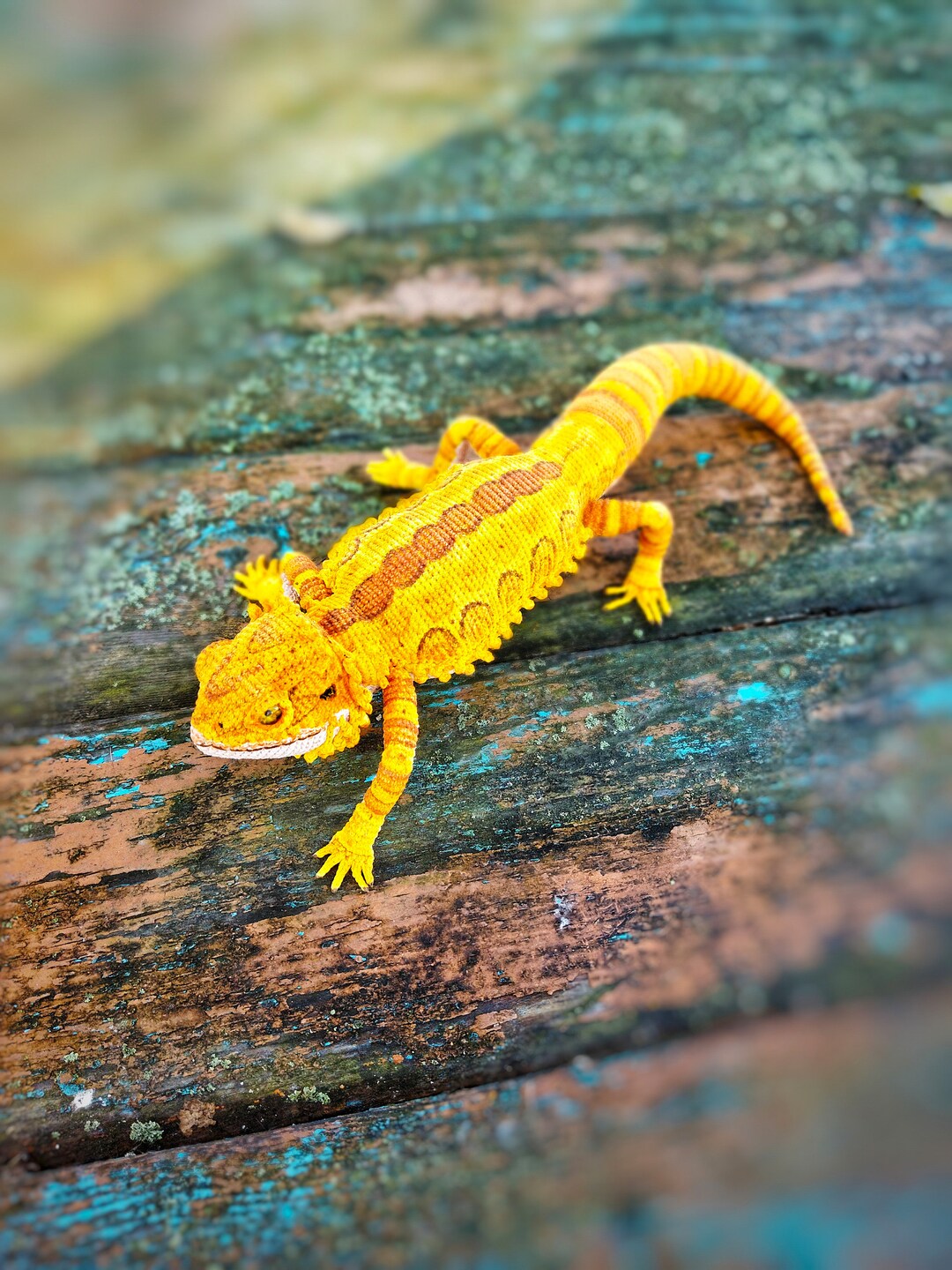 Realistic Orange Bearded Dragon Agama. Figurine Amigurumi Lizard ...