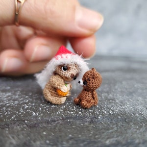 Custom Micro Sloth in a Red Gnome Cap. Dollhouse Miniature Tiny Sloth ...