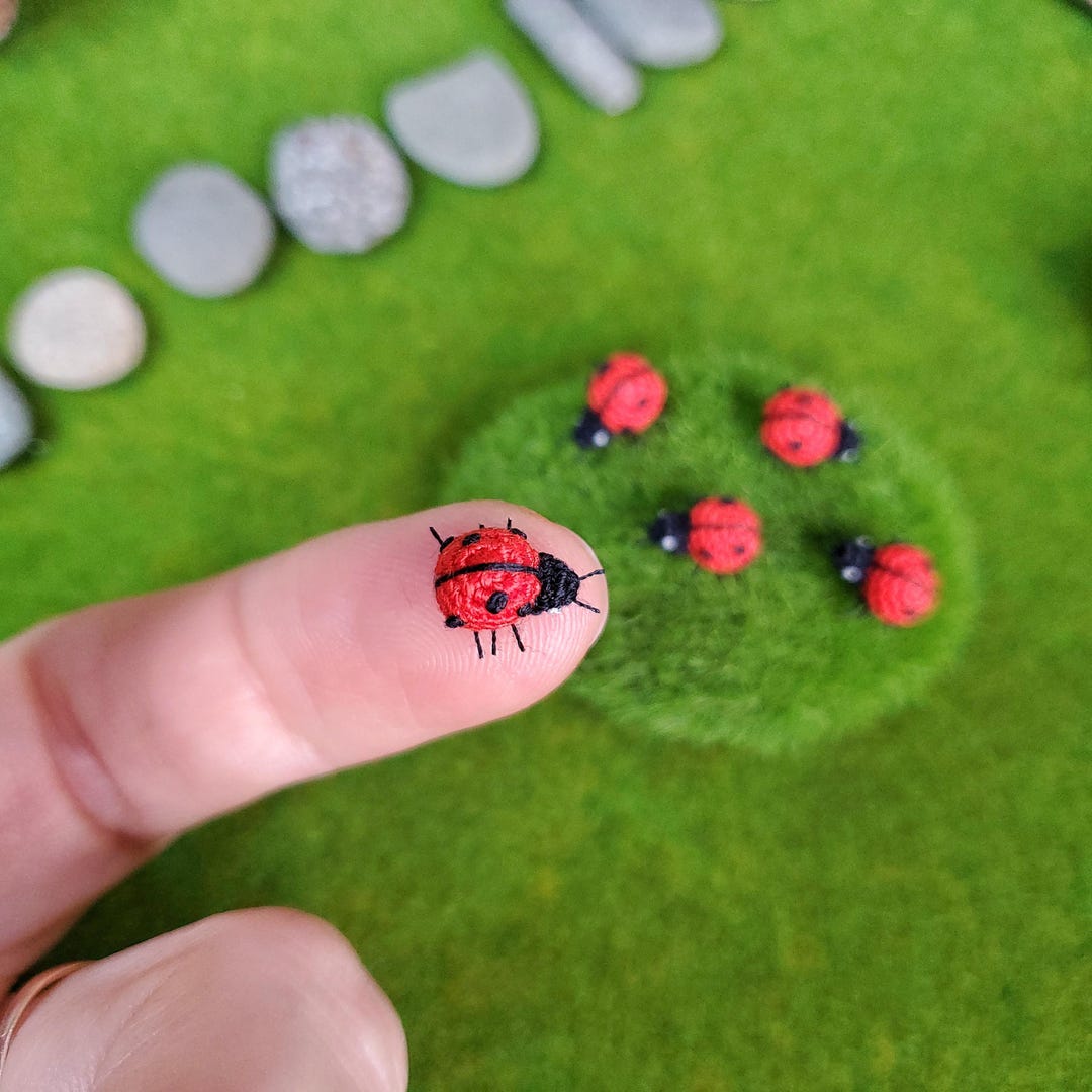 Set of Crochet Ladybug Micro Realistic Insects Amigurumi BUG - Etsy