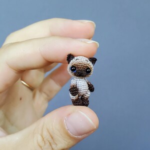 Custom Micro Kitten Dollhouse Miniature Tiny Cat. Doll Pet Kitten. Mini ...