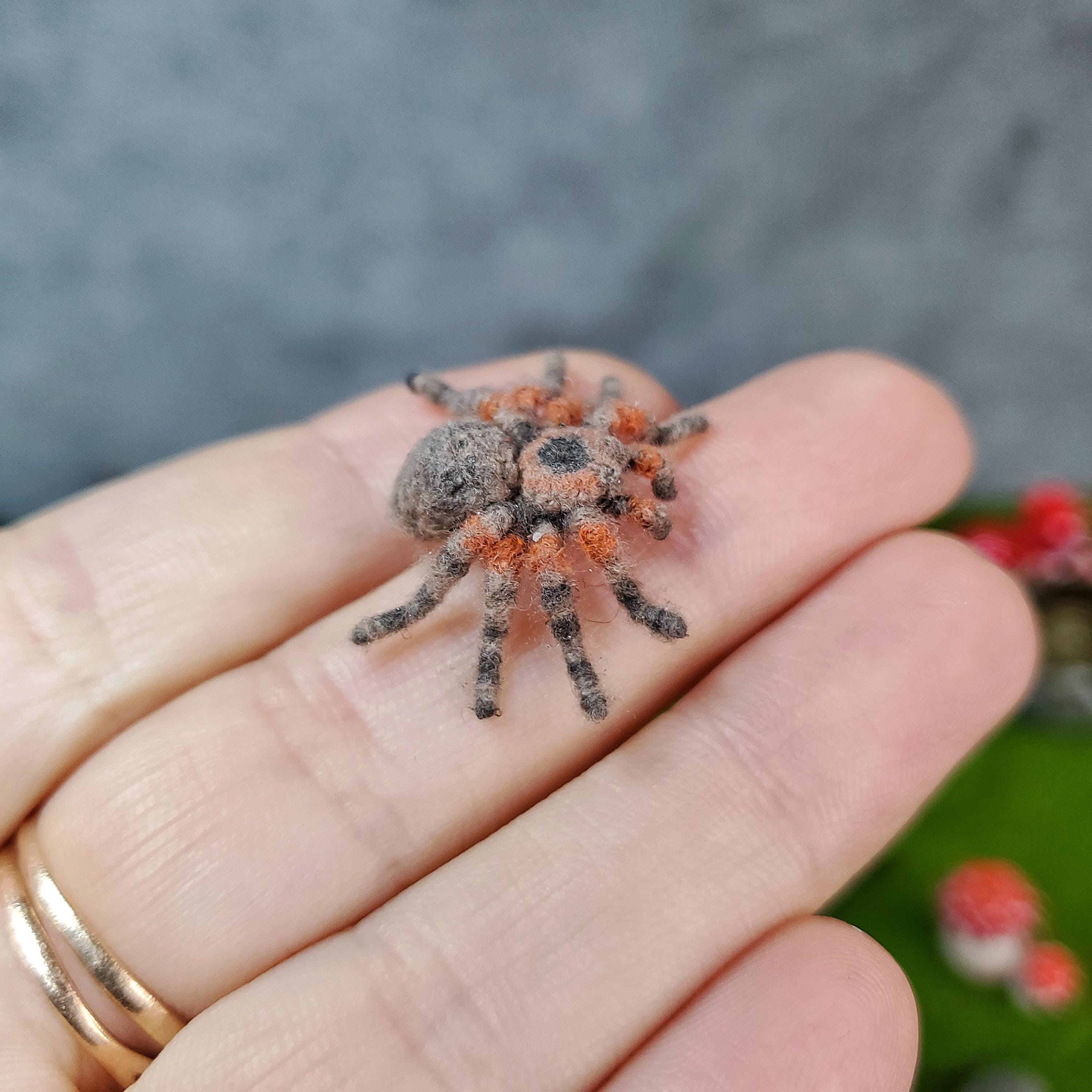 Crochet Tarantula Spider: Miniature Halloween Dollhouse Decor - Etsy