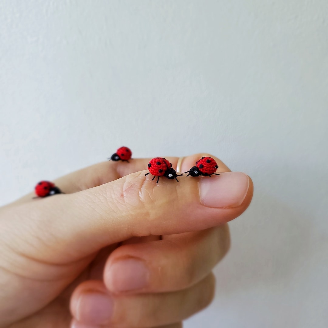 Set of Crochet Ladybug Micro Realistic Insects Amigurumi BUG - Etsy
