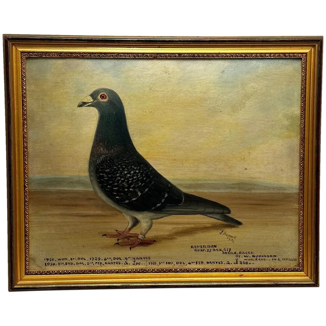 Oil Painting Champion Bird Repetition Pigeon by J Brown C1932 Bred ...