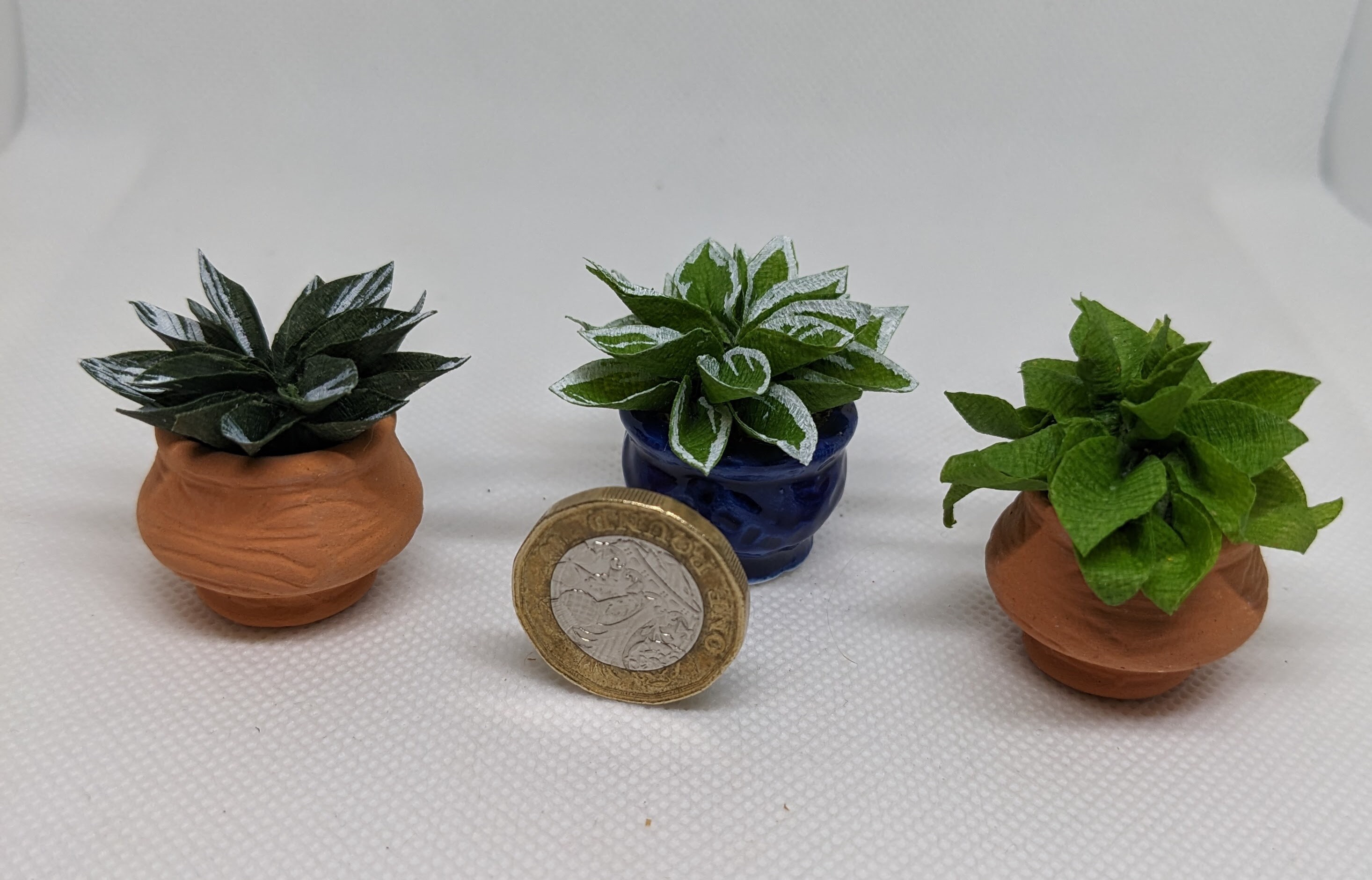 12th Scale Miniature Hosta Plant - Etsy