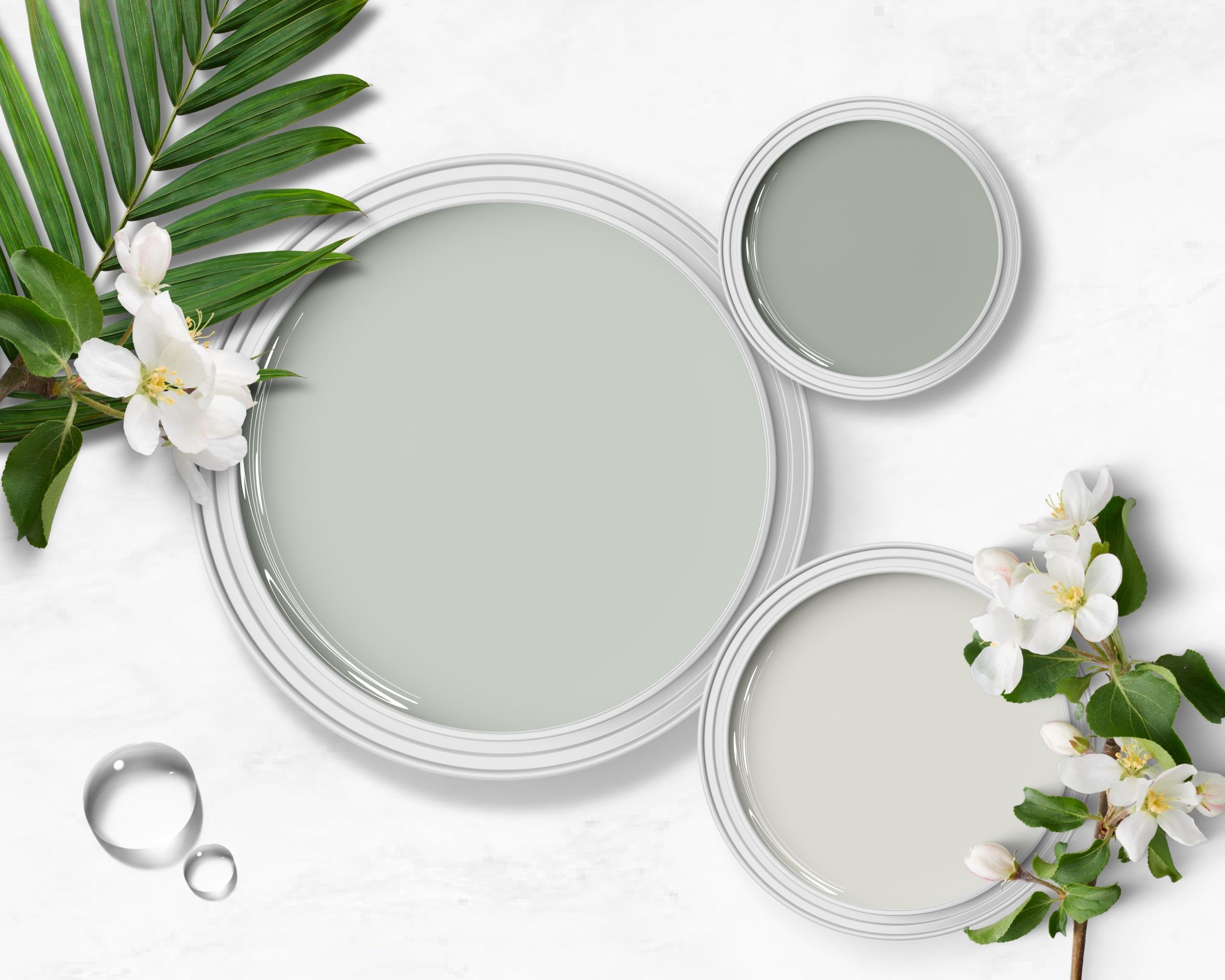 SW Sea Salt Color Palette ~ Whole House Paint Palette for Kitchen ...