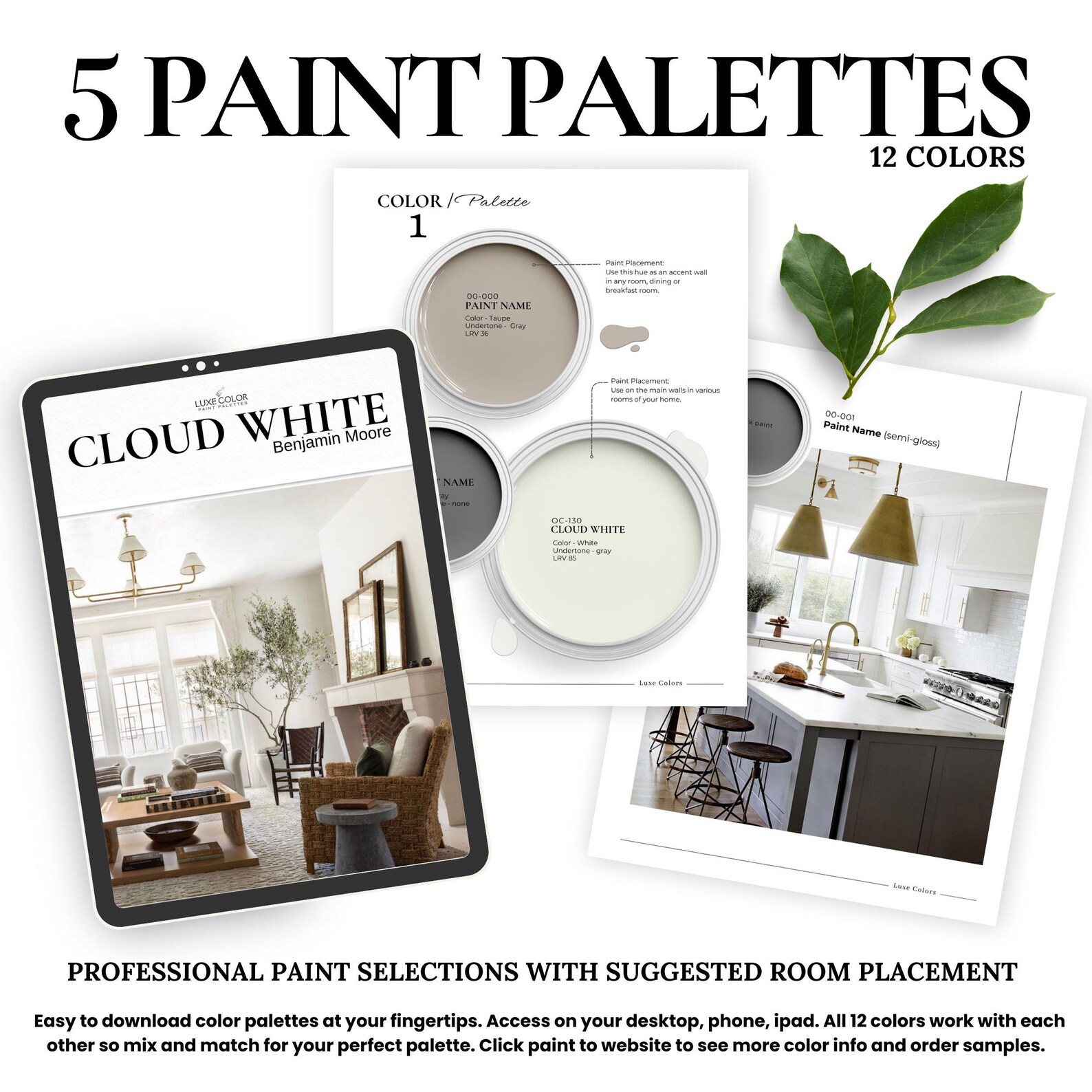 Benjamin Moore Cloud White Color Palette ~ Complementary Color Palette ...